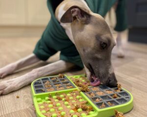 Naturediet | Dog Food Made With Natural Ingredients