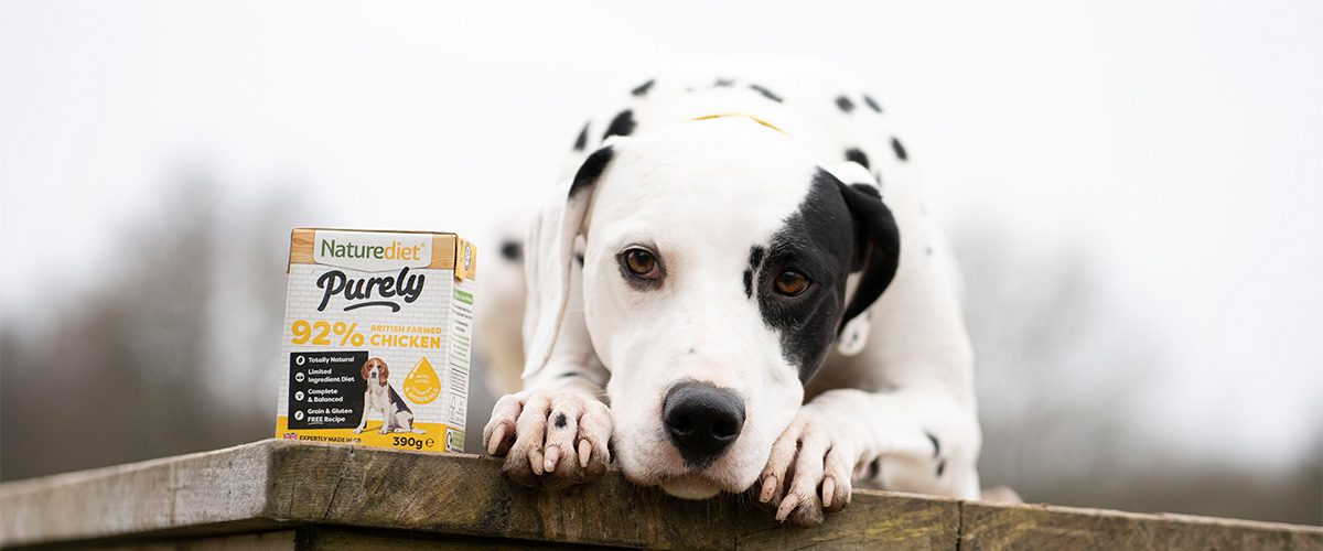 How can my dog benefit from the Purely range? | Naturediet